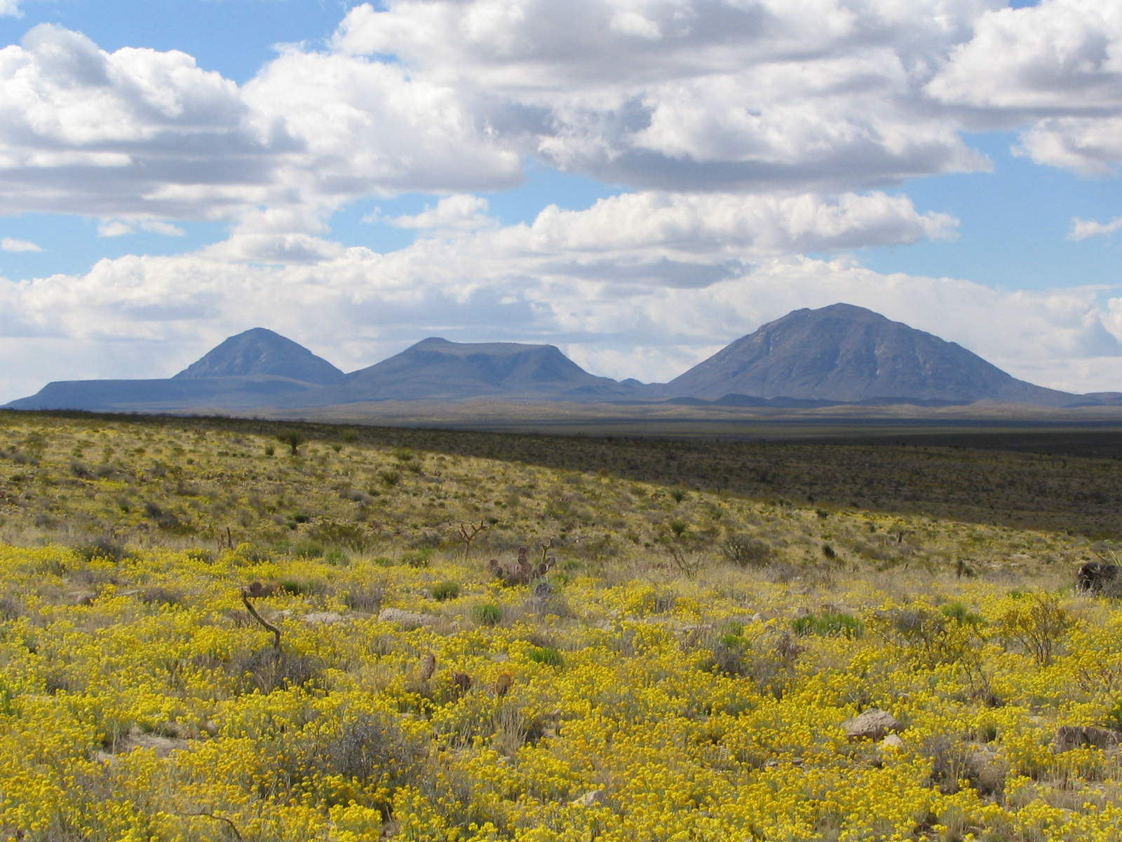 Land For Sale | Ranch Land, Mountain Land, Forested Land - Your Cheap Land